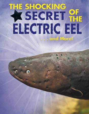 The Shocking Secret of the Electric Eel... and More! | Rosen Classroom
