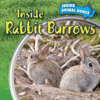 Inside Rabbit Burrows | Rosen Classroom