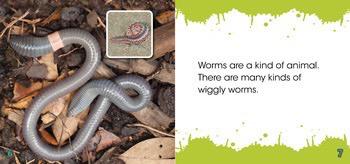 Wiggly Worms | Rosen Classroom