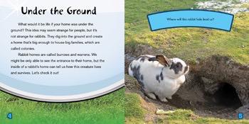 Inside Rabbit Burrows | Rosen Classroom